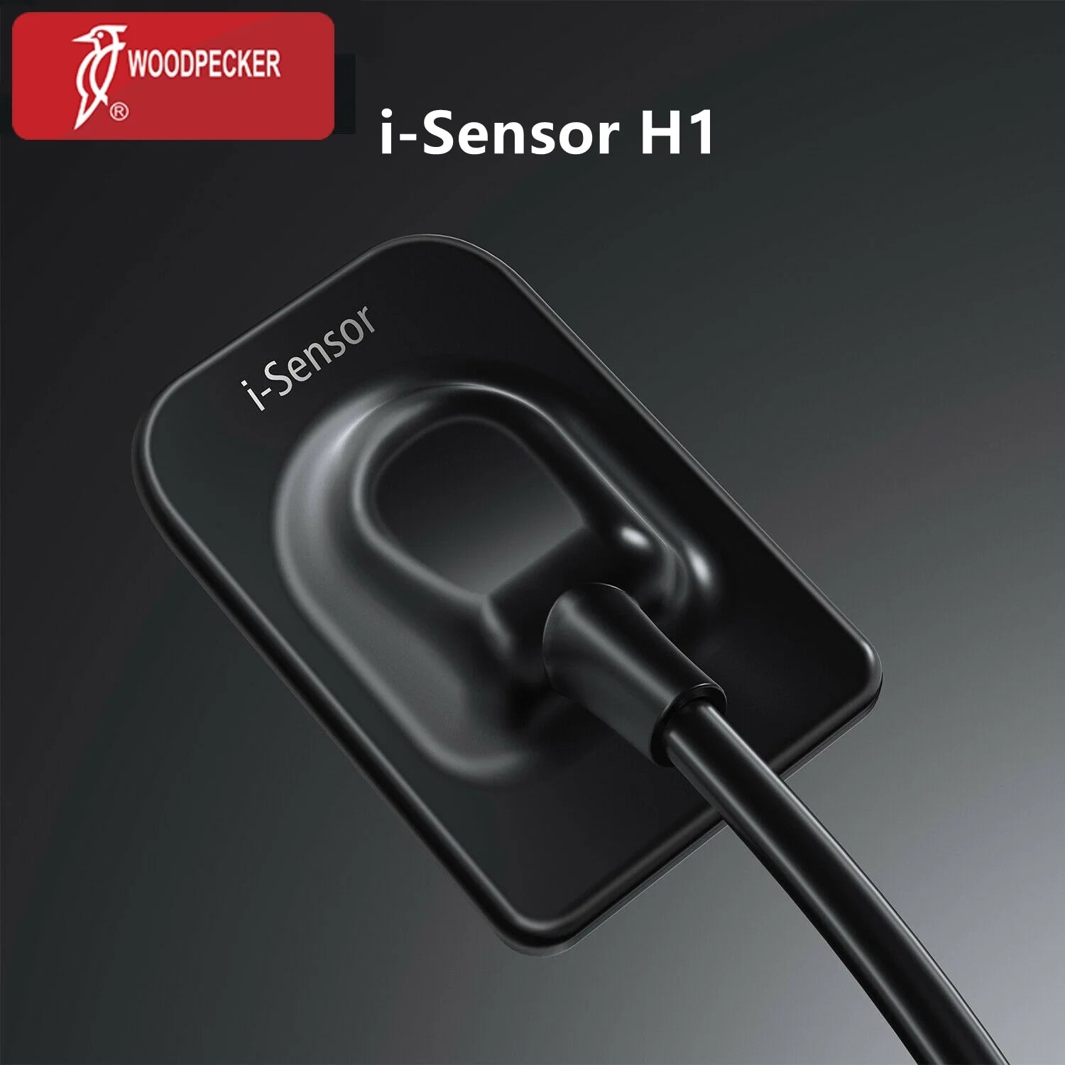 Dentreal - I-Sensor Intraoraler Röntgensensor RVG - Sensor H1 ...