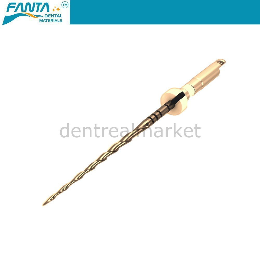 Fanta Dental – AF R3 Gold File Reciproc – Niti Rotary Root File ...
